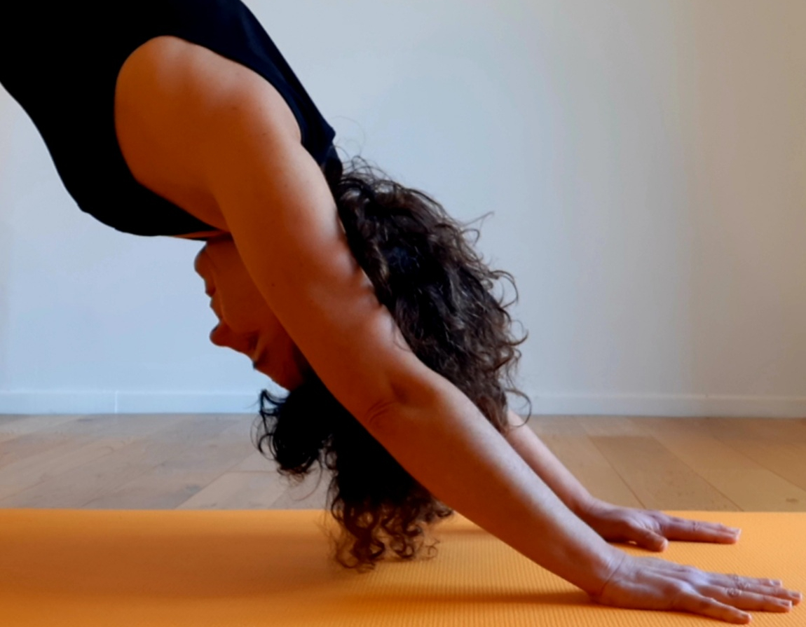 La Fabrique du Yoga - Saint Méloir des Ondes